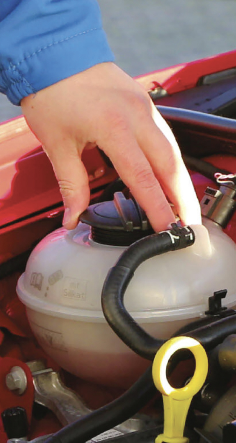 MS-Motorservice-Image-1-23 - Professional Motor Mechanic